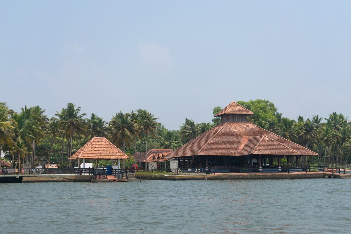 Top 6 Bioluminescent (Glowing) Beaches in India