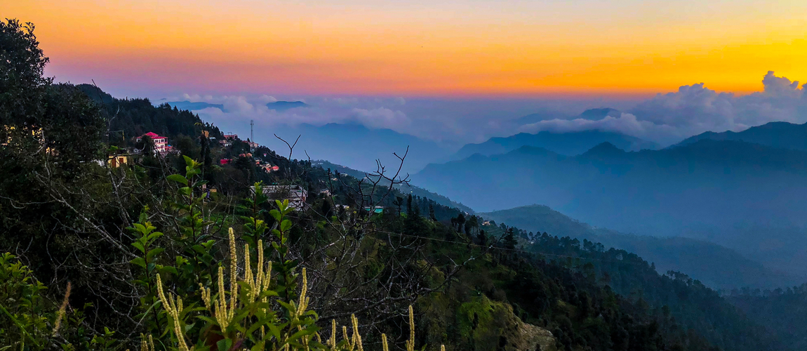 Celebrate Kandali Festival of Uttarakhand With Family