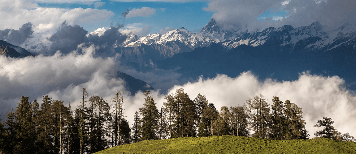 Celebrate Kandali Festival of Uttarakhand With Family