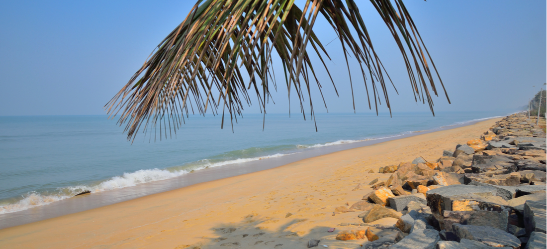 Celebrate Kandali Festival of Uttarakhand With Family