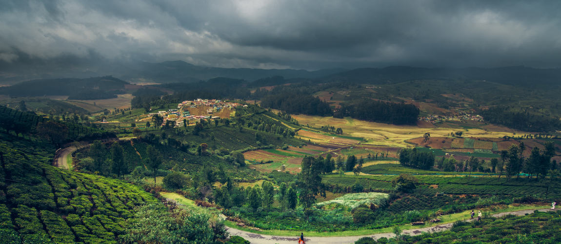 Best Time To Visit Ooty with Family - Weather, Season & Climate