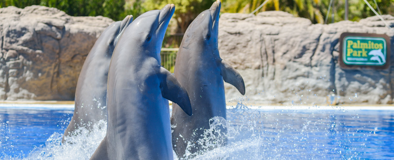 Visit Palmitos Park with Your Family | Club Mahindra