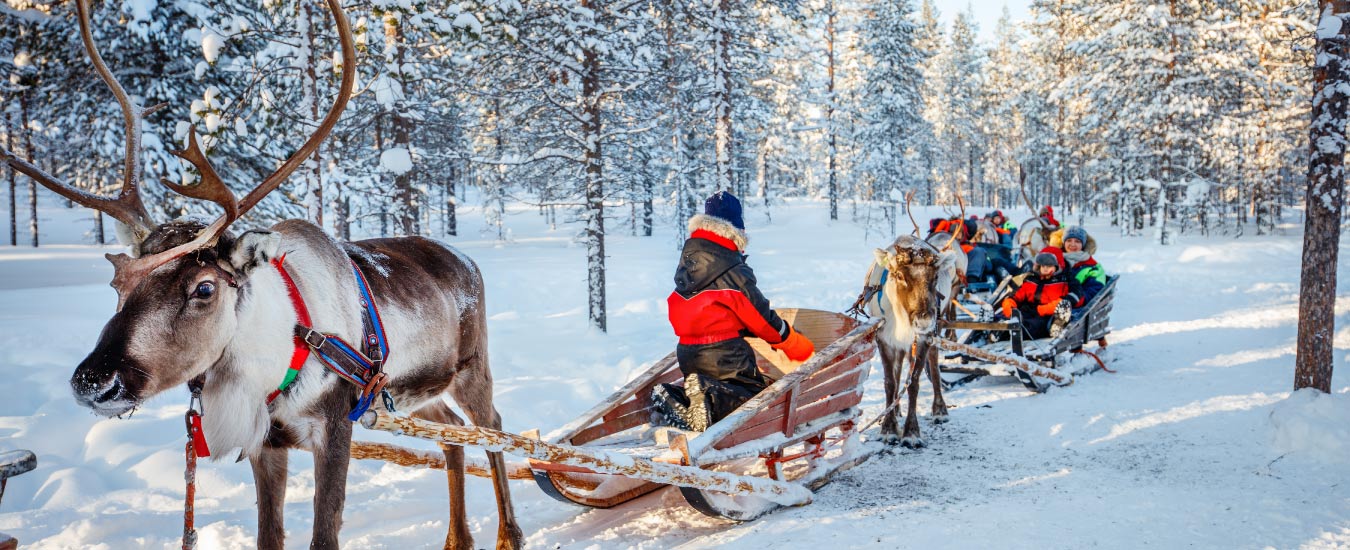 Experience Reindeer Sleigh Ride With Your Family