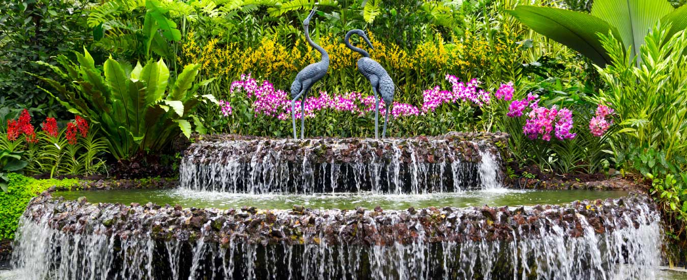 Visit National Orchid Garden With Your Family