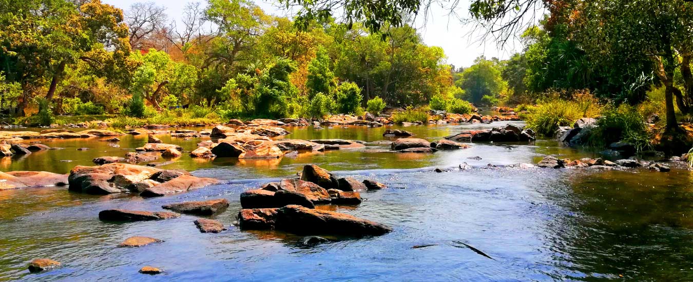 Experience Kuruva Island With Your Family