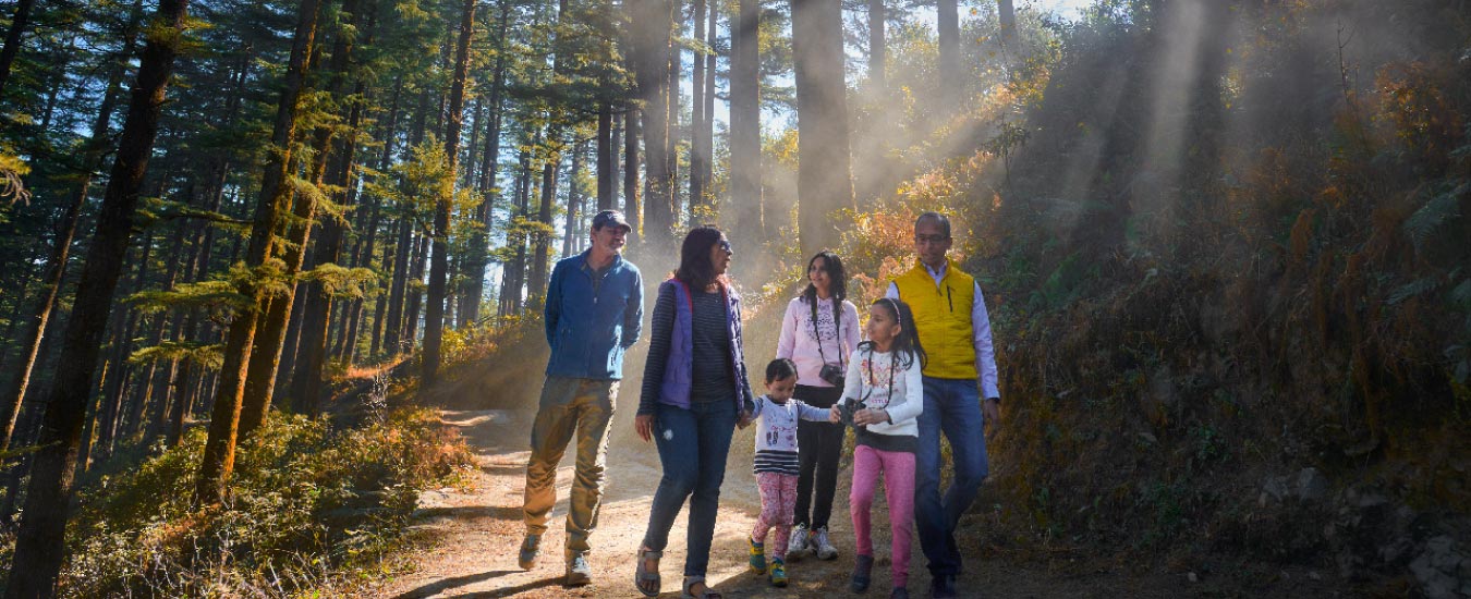 Go Trekking in the Stunning Kodia Forest with Your Family