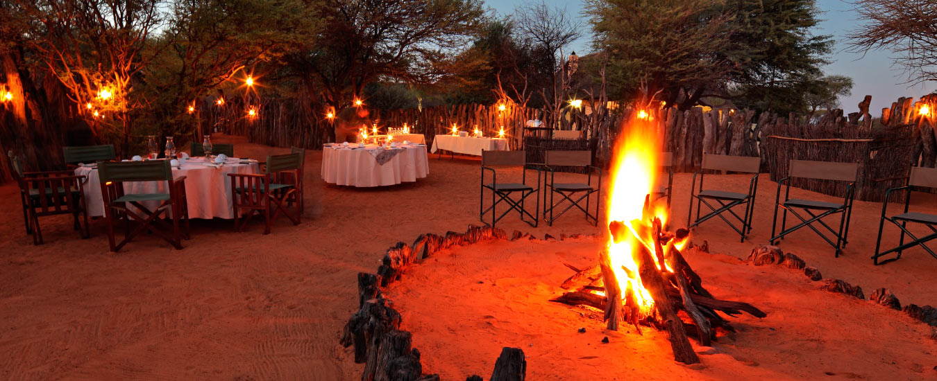 Experience Bonfire Night Camping with Live Barbecue Dinner