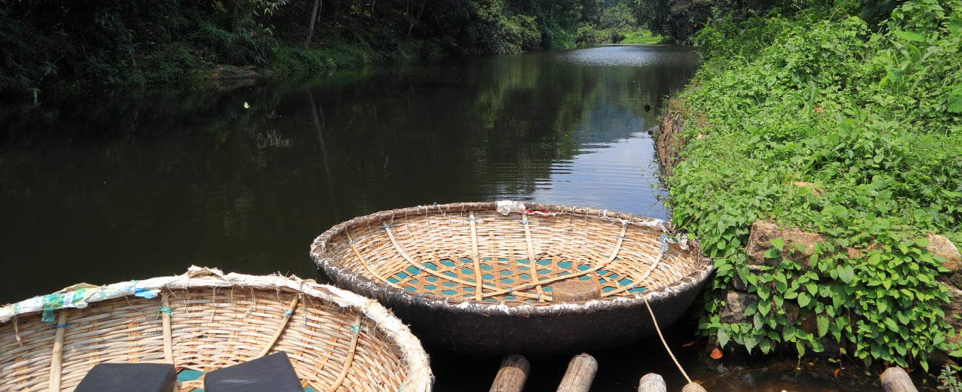 Experience the Angamoozhy Jungle Safari with your Family