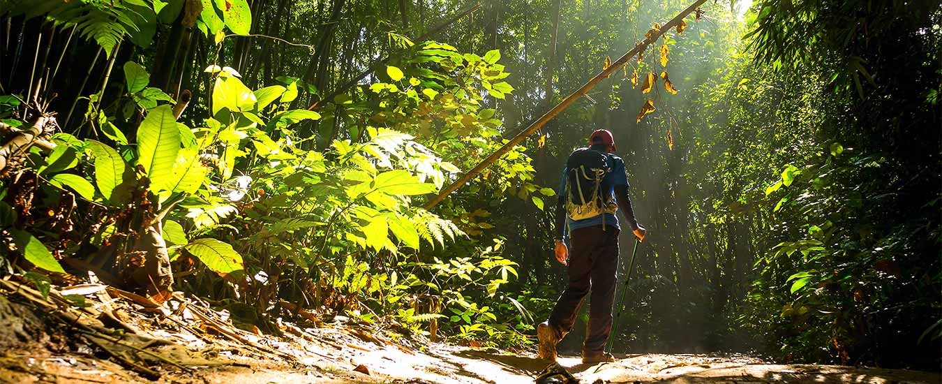 The Chumbi Mountain Retreat Resort in Pelling, Sikkim with Club mahindra