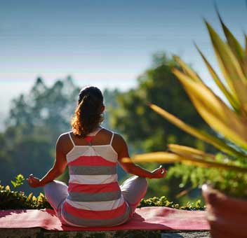 Practice Asanas in a Yoga Lawn with Your Family