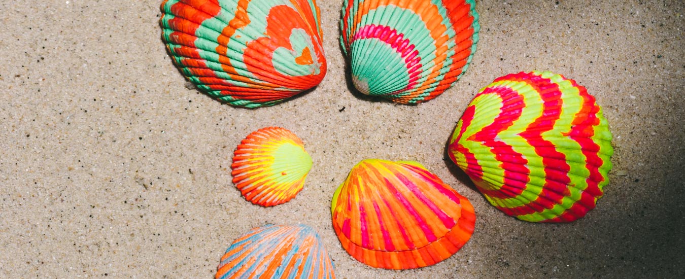 Experience Shell Crafting Happyhub with Your Family